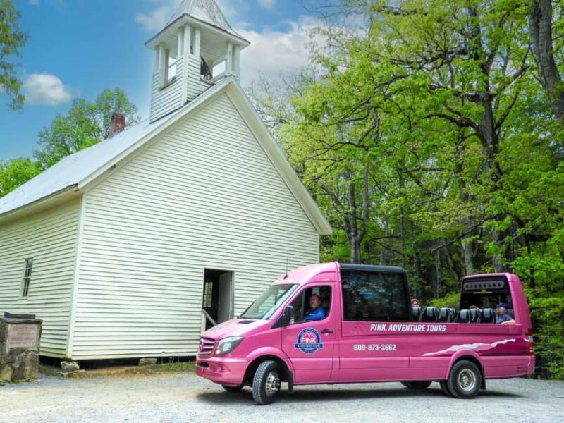 Pigeon Forge: Cades Cove Tour in a Pink Panorama Van - What Reviewers Say