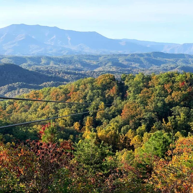 Pigeon Forge: Smoky Mountains 7-Line Zipline Tour - Practical Tips for Your Zipline Adventure