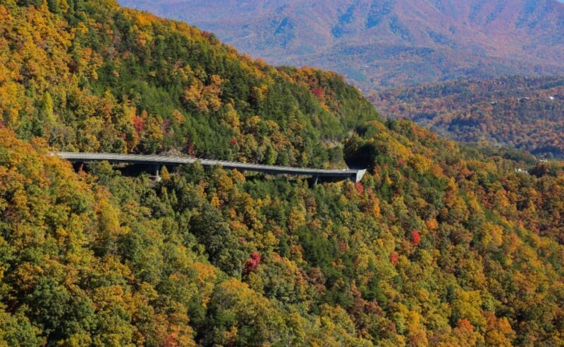 Pigeon Forge: Wears Valley Helicopter Tour - Potential Drawbacks & Things to Consider