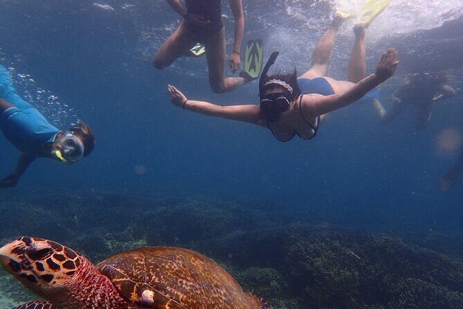 Pigeon Island Snorkeling Tour From Uppuveli Beach - FAQs