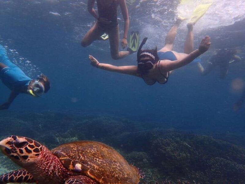 Pigeon Island Snorkeling Tour from Uppuveli Beach - Key Points