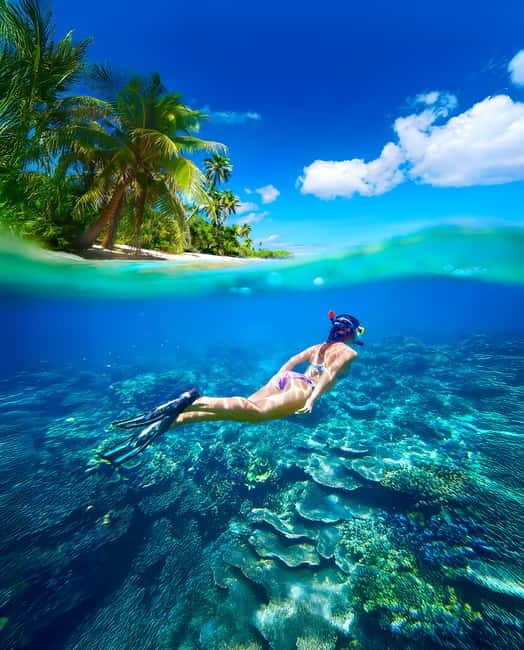 Pigeon Island Snorkeling Tour from Uppuveli Beach - What to Expect During the Snorkeling