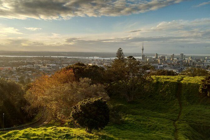 Piha Beach & Wilderness Nature : PRIVATE TOUR 8 hrs - A Day in Auckland – An Honest Breakdown