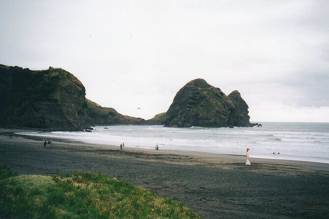 Piha Beach & Wilderness Nature : PRIVATE TOUR 8 hrs - What to Expect at Each Stop