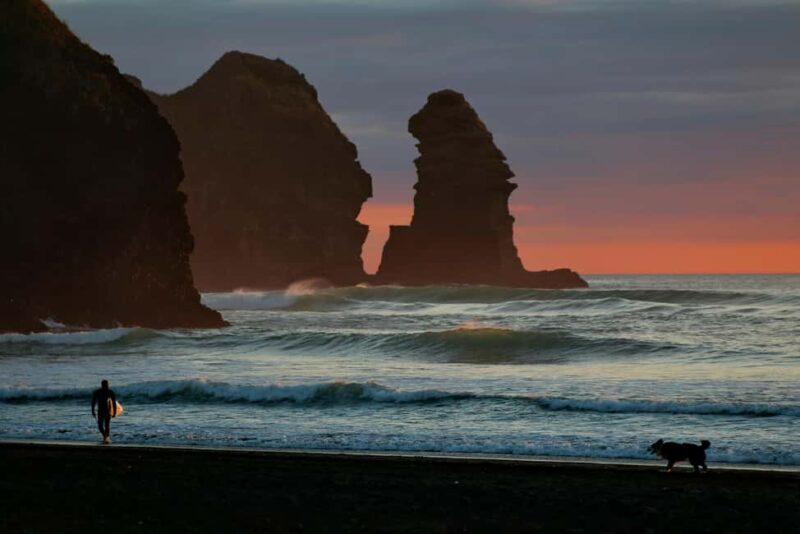 Piha Beach & Wilderness Private Tour: Auckland Half Day Trip - Key Points