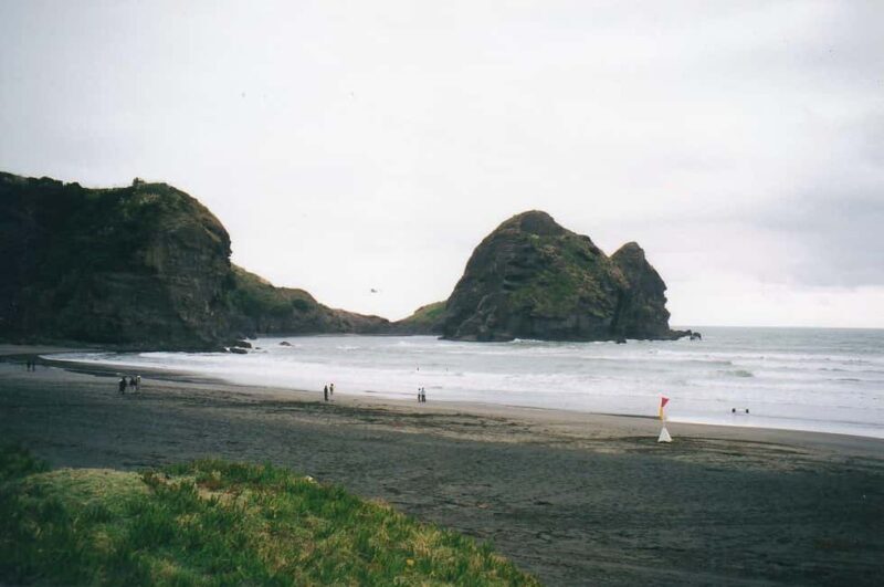 Piha Beach & Wilderness Private Tour: Auckland Half Day Trip - Introduction: A Taste of Auckland’s Wild Side