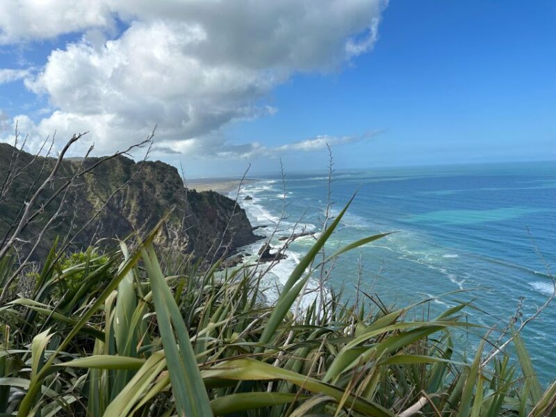 Piha & Karekare - Out of Auckland Private Tour - FAQs