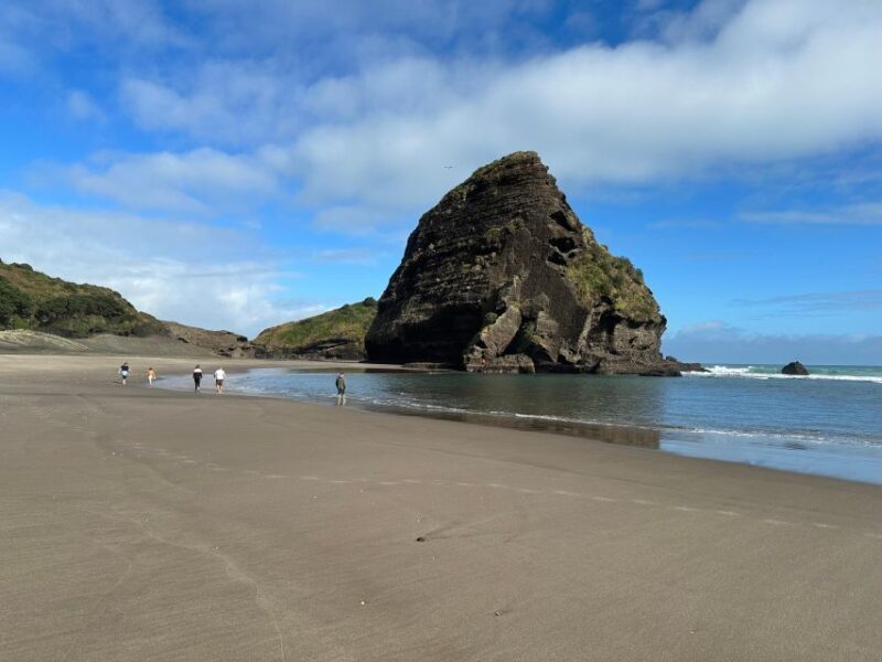 Piha & Karekare - Out of Auckland Private Tour - In Summary