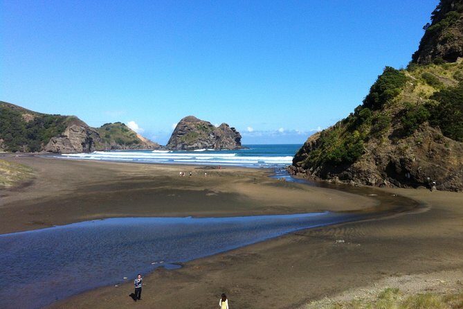 Piha Waitakere Rainforest Wine Tour from Auckland - An In-Depth Look at the Piha Waitakere Rainforest Wine Tour