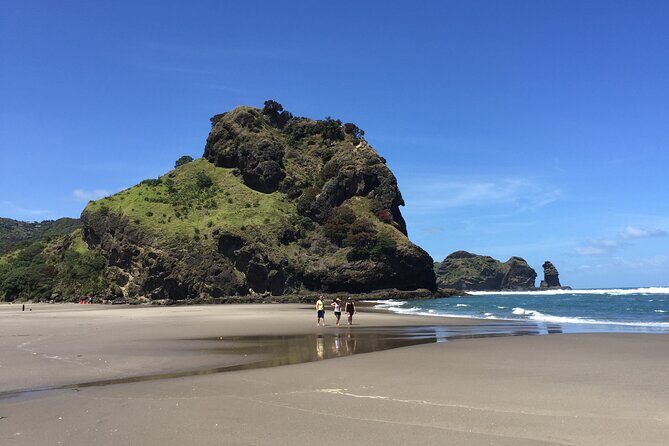 Piha Waitakere Rainforest Wine Tour from Auckland - Who Will Love This Tour?