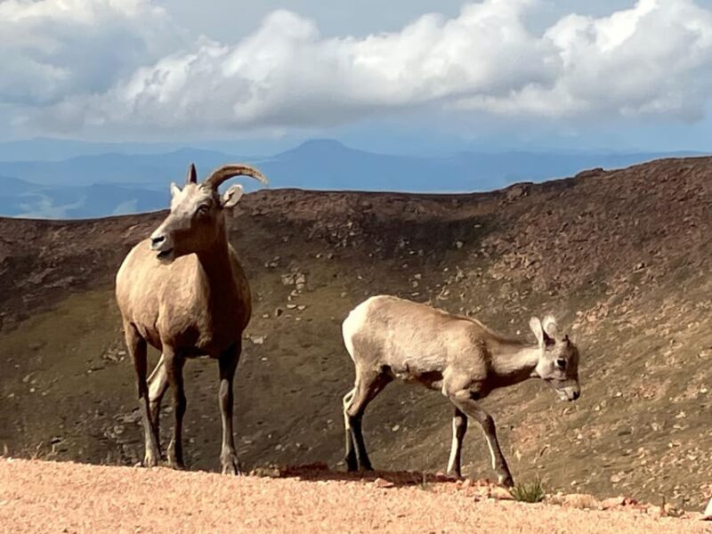 Pikes Peak Tour - The Sum Up