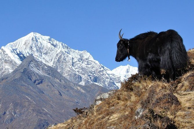 Pikey Peak Trek Everest View - An In-Depth Look at the Pikey Peak Trek