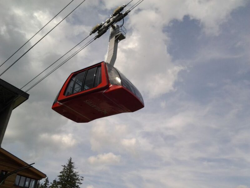 Pilatus: Exclusive Private Golden Round Trip from Basel - The Aerial Cableway and Dragon Ride Experience
