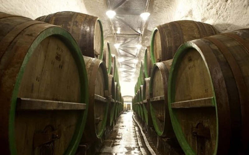 Pilsner Brewery & Nizbor Glass Factory Combination Tour - In-Depth Review of the Tour