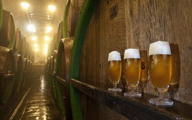 Pilsner Brewery & Nizbor Glass Factory Combination Tour - Who Should Consider This Tour?