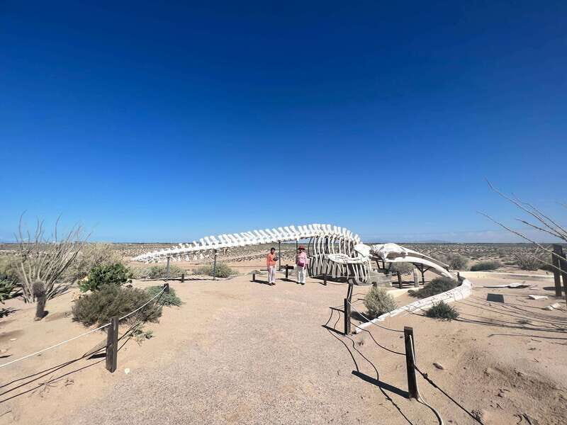 Pinacate: 3-day tour to the craters and surrounding towns - Key Points