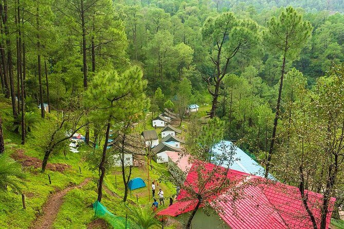 Pine forest camping near Shimla - 2 nights - What to Expect at the Campsite