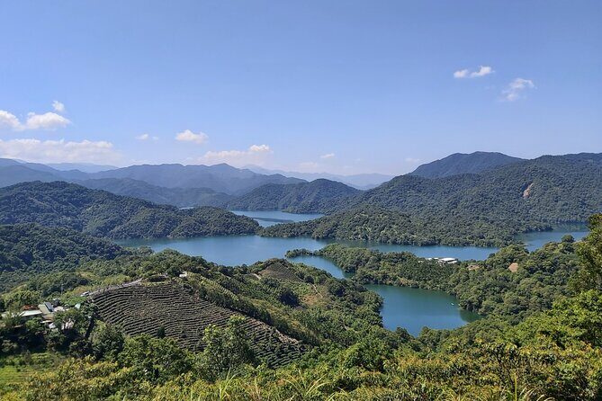 Pinglin Tea Culture & Maokong Day Tour from Taipei - Key Points