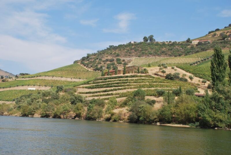 Pinhão: 2-Hour Rabelo Boat Tour with Audio Guide - Who Will Enjoy This Tour?