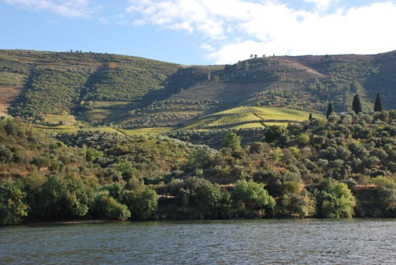 Pinhão: 2-Hour Rabelo Boat Tour with Audio Guide - The Sum Up