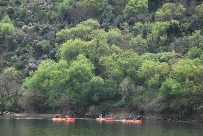 Pinhão: 4 Hour Douro Valley Kayak Rental - What Makes This Experience Stand Out