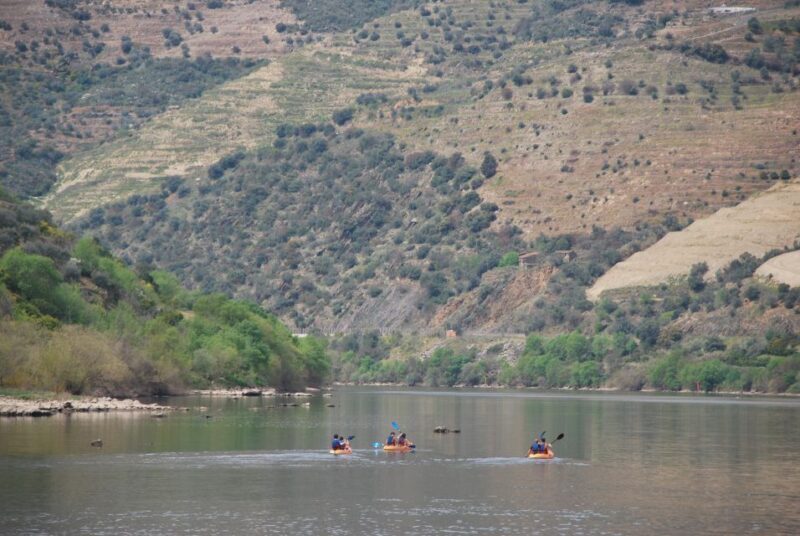 Pinhão: 4 Hour Douro Valley Kayak Rental - Who Should Consider This Tour?