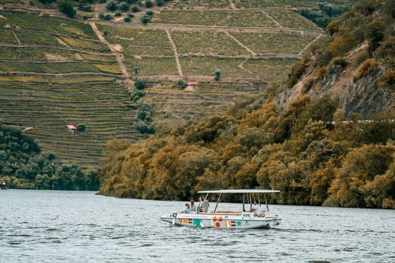 Pinhão: Douro River Solar Boat Tour with Wine Tasting - FAQ About the Douro River Solar Boat Tour