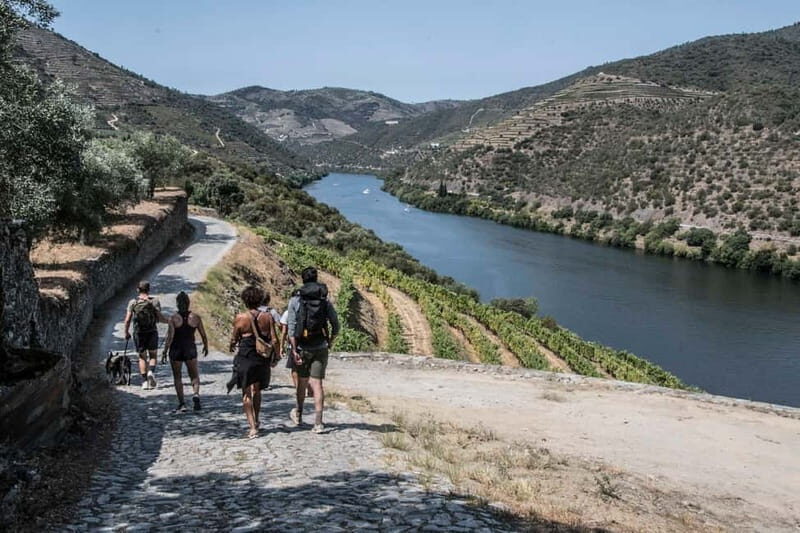 Pinhão: Douro Valley Guided Hike - A True Walk Through the Douro: What to Expect