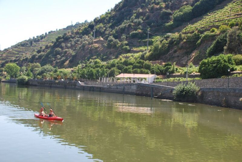 Pinhão: Douro Valley Rabelo Boat Tour and Kayak Experience - Introduction to the Experience