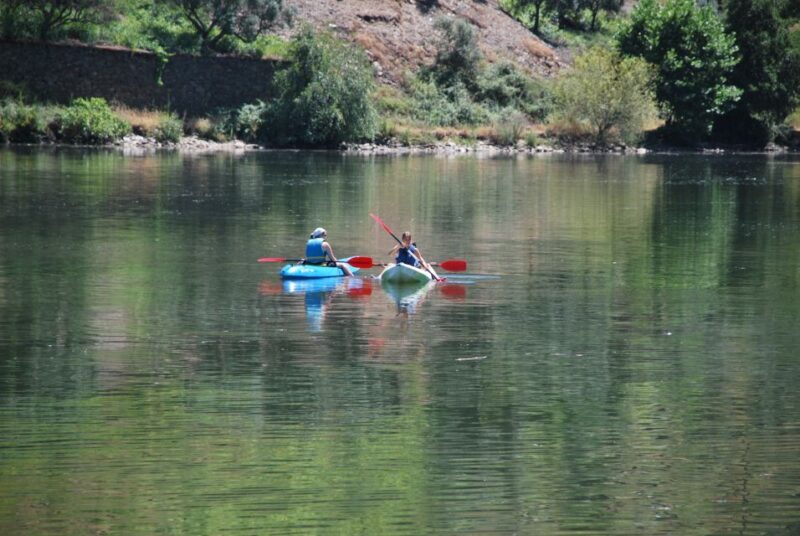 Pinhão: Douro Valley Rabelo Boat Tour and Kayak Experience - Final Thoughts: Who Will Love This?