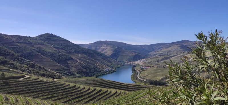 Pinhão: Douro Valley with Wine Tasting, Boat Trip and Lunch - Key Points
