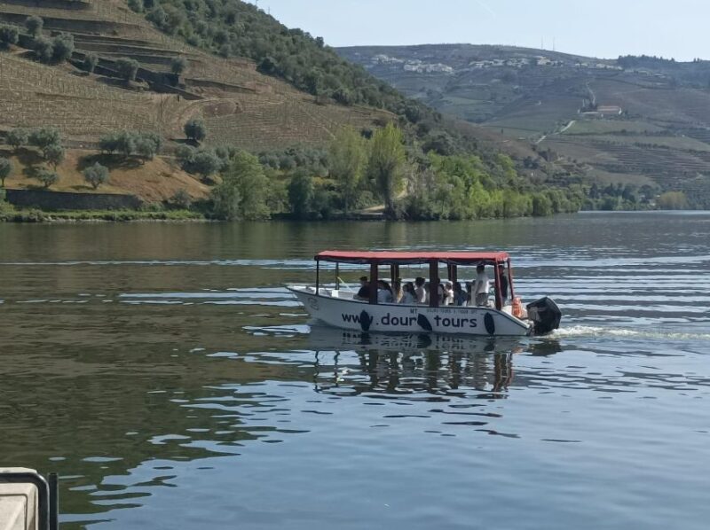 Pinhão: Douro Valley with Wine Tasting, Boat Trip and Lunch - Who Will Love This Tour?