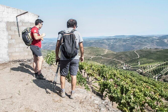 Pinhão Hiking Tour - A Deep Dive into the Pinhão Hiking Tour