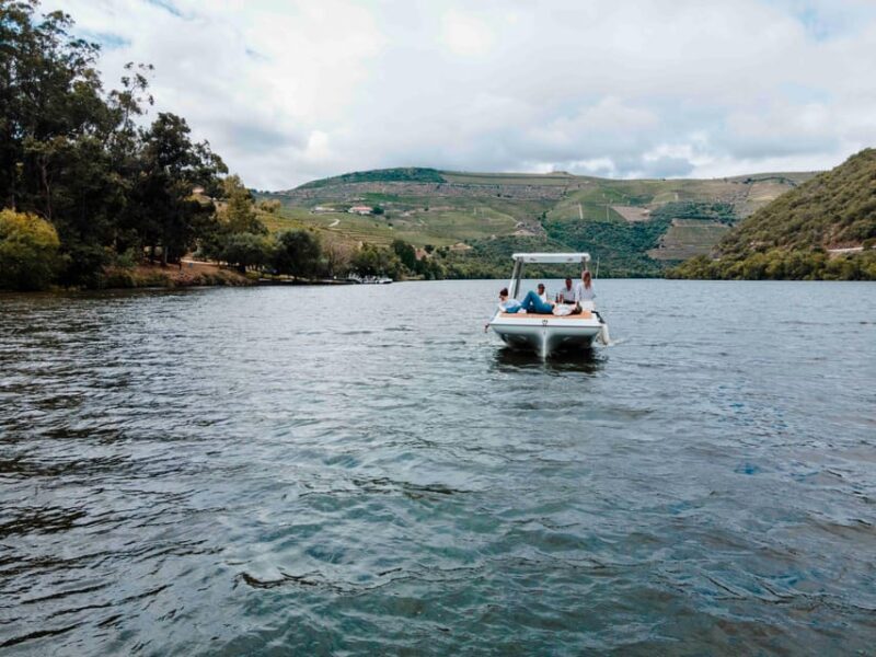 Pinhão: Private Electric Boat Tour 1h- Wine Tasting Included - Authentic Experiences & Traveller Feedback