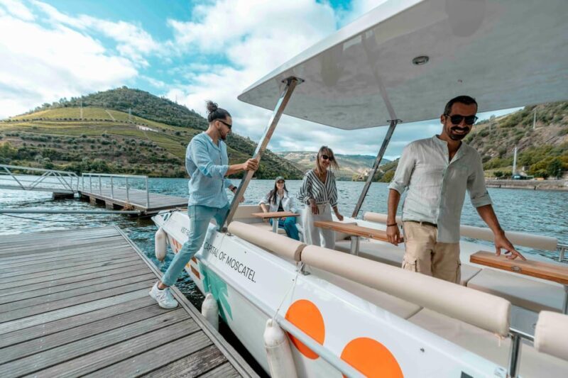 Pinhão: Private Electric Boat Tour 1h- Wine Tasting Included - Final Thoughts: Who Is This Tour Best For?