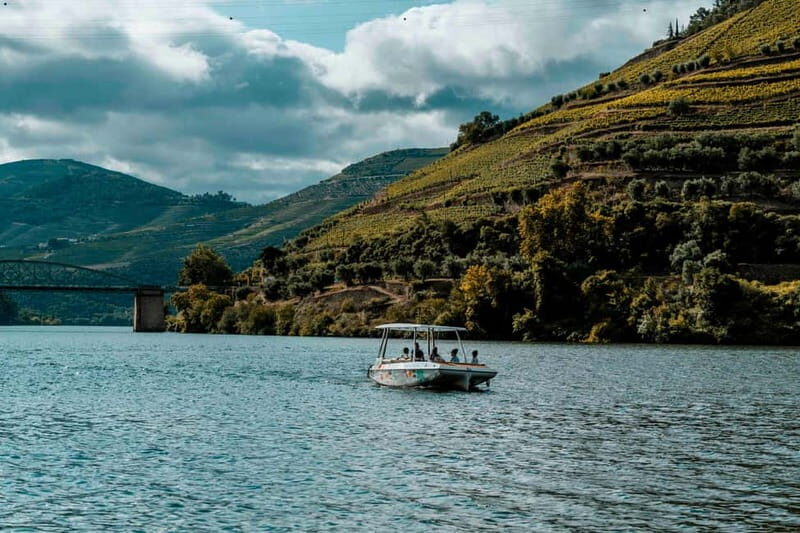 Pinhão: Private Electric Boat Tour 2h| Wine Tasting Included - Who Is This Tour Best For?