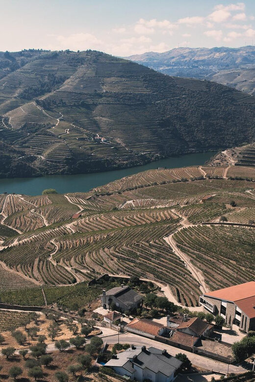 Pinhão: Quinta da Formigosa Vineyard Tour and Wine Tasting - What Reviewers Say