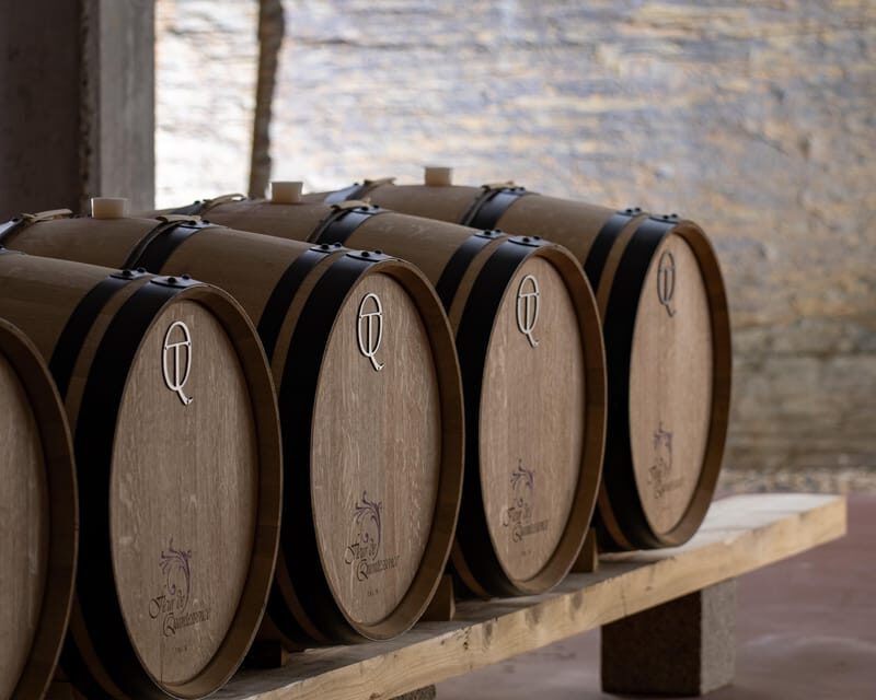 Pinhão: Quinta da Formigosa Vineyard Tour and Wine Tasting - Who Will Love This Tour?