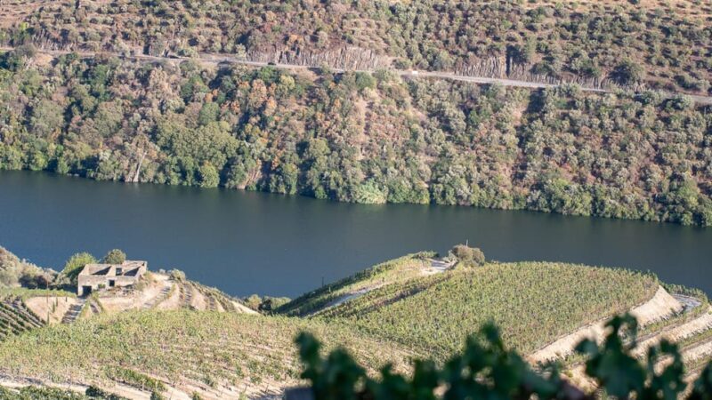 Pinhão: Quinta da Formigosa Vineyard Tour and Wine Tasting - FAQ