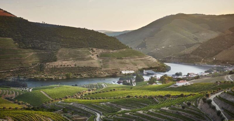 Pinhão: Quinta do Bomfim Visit and Tasting - Key Points