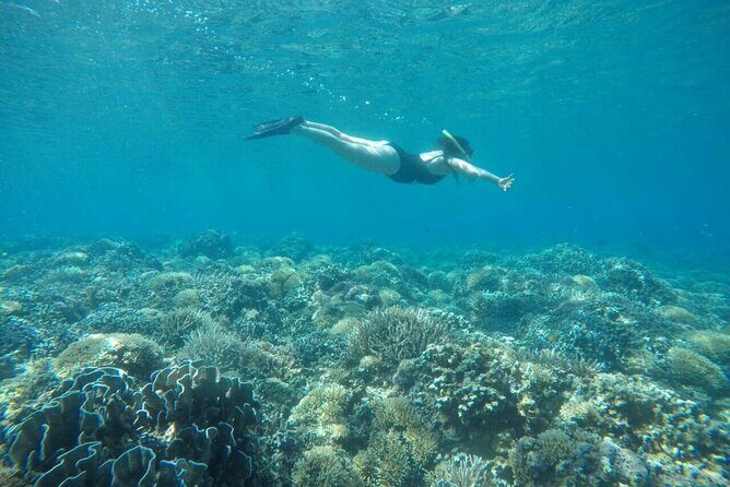 Pink Beach Lombok snorkeling & Day Trip Departure from Lombok - Key Points