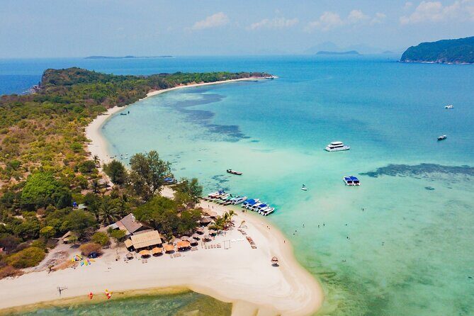 Pink Dolphin and Pig Island Snorkeling Tour from Koh Samui - The Sum Up: A Day of Wildlife, Snorkeling, and Beach Fun