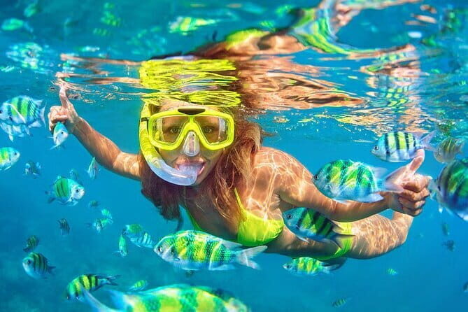 Pink Dolphin and Snorkeling Full Day Experience - Authentic Experiences and What Travelers Are Saying