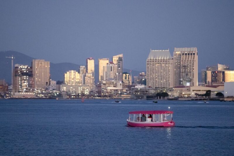 Pink Private Boat Cruise in San Diego! Bachelorette Birthday - Final Thoughts: Who Is It Best For?