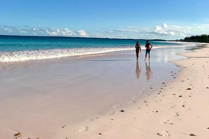 Pink Sand Beach and Swimming Pigs Adventure from Nassau - Authentic Experiences and What Travelers Say