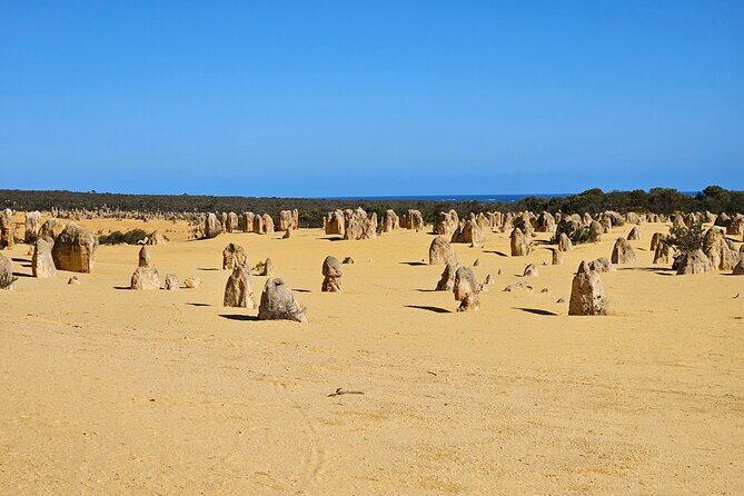 Pinnacle Day Adventure Tour - Who Will Love This Tour?