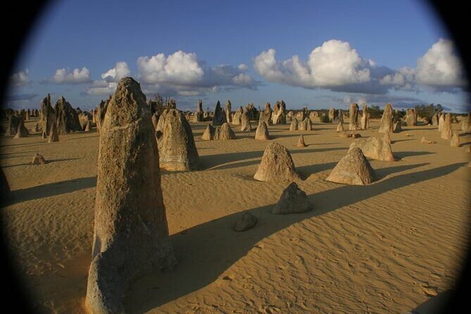 Pinnacles Day Tour - Lancelin Sand Dunes: Adventure and Fun