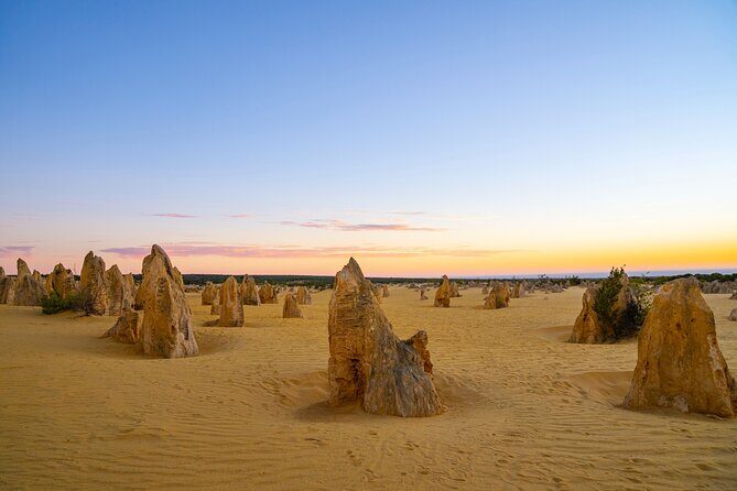 Pinnacles Desert Lobster Tour from Perth - Exploring Western Australia’s Coastal Charm: Cervantes