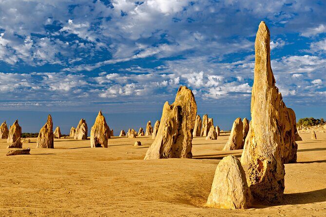 Pinnacles Desert Lobster Tour from Perth - Lake Thetis & Ancient Fossils