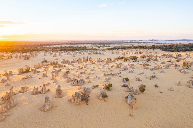 Pinnacles Desert Lobster Tour from Perth - Returning to Perth: Reflecting on a Day Well Spent